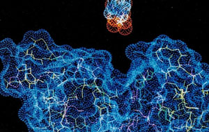 À la frontière de la chimie et de la biologie : biocatalyse et catalyse ...